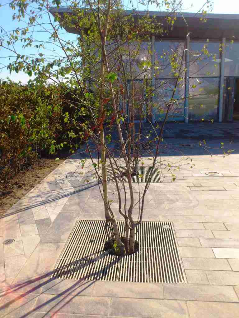 Blueton street furniture - Ref 1041 Stainless Steel Tree Grilles