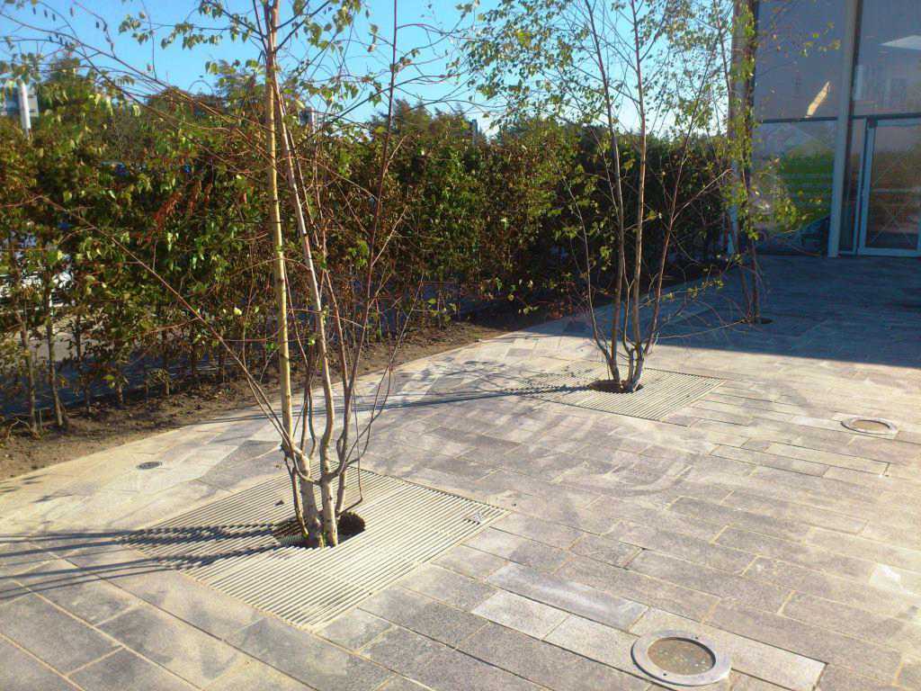 Blueton street furniture - Ref 1041 Stainless Steel Tree Grilles